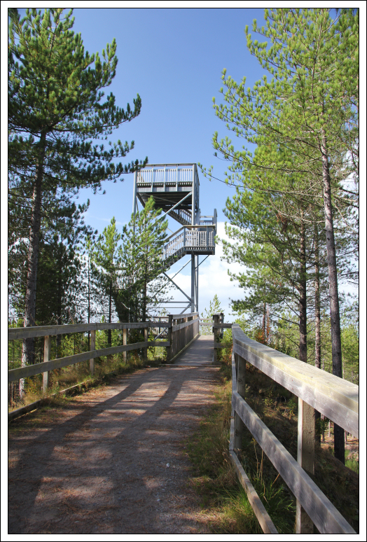 Coastal Walk: Forres to Culbin