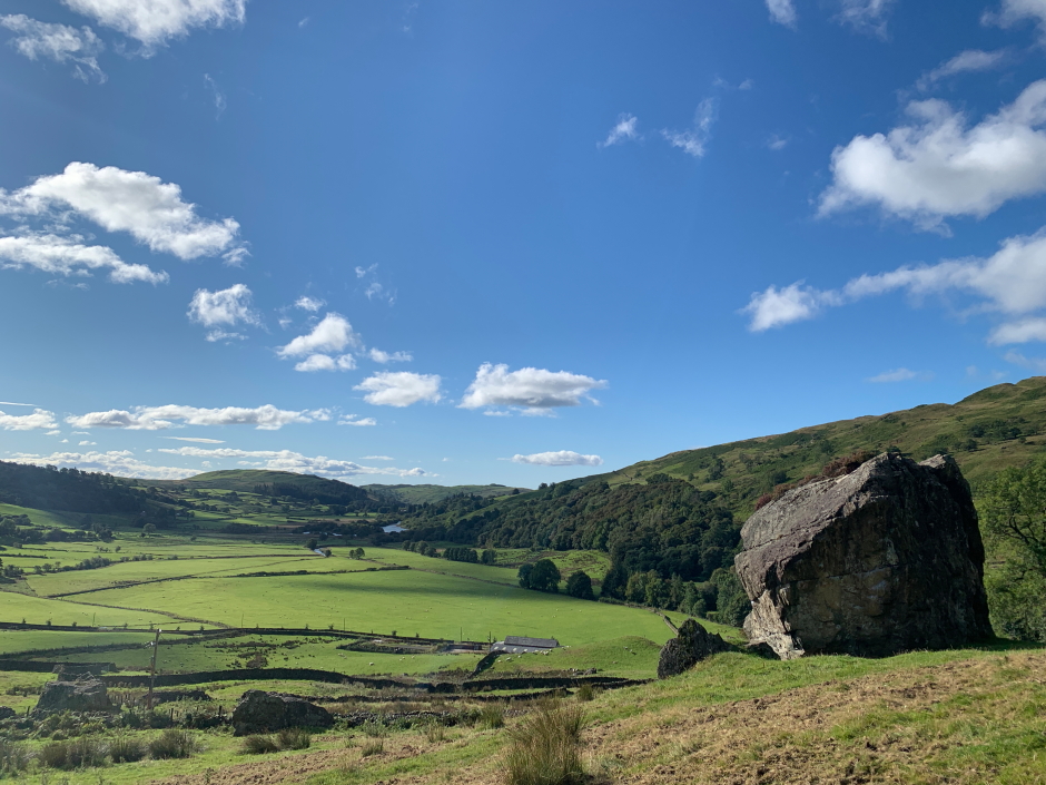 Sallows, Sour Howes and Helm Crag