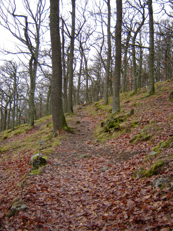 Craiglich and Craigendarroch