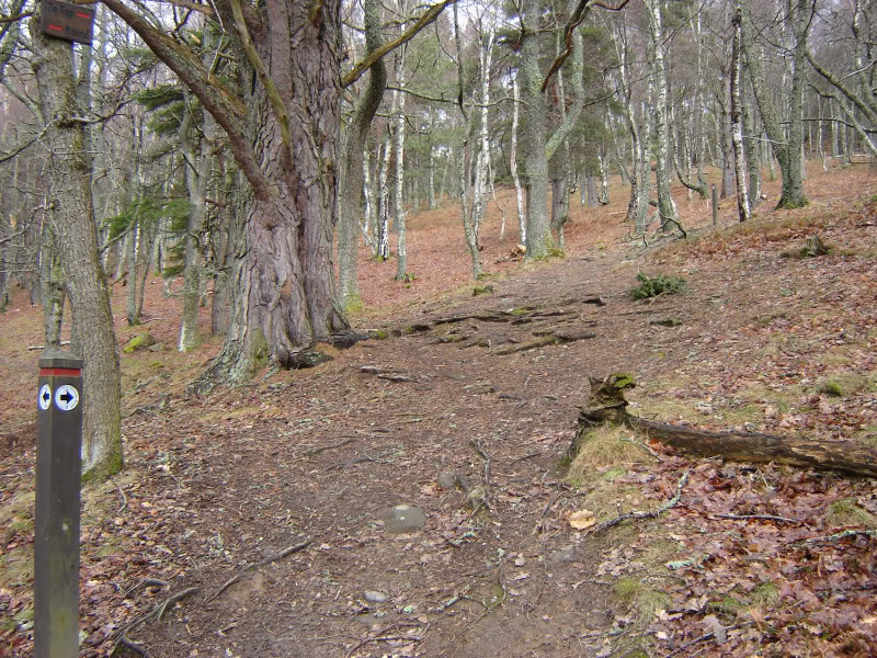 Craiglich and Craigendarroch