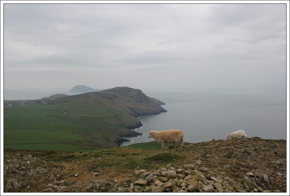 Mynydd Anelog and Mynydd Enlli