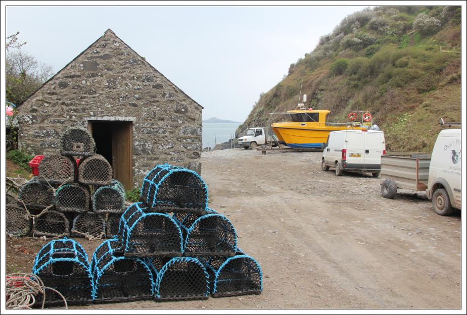 Walk Report - Mynydd Enlli (Bardsey Island) • Walkhighlands