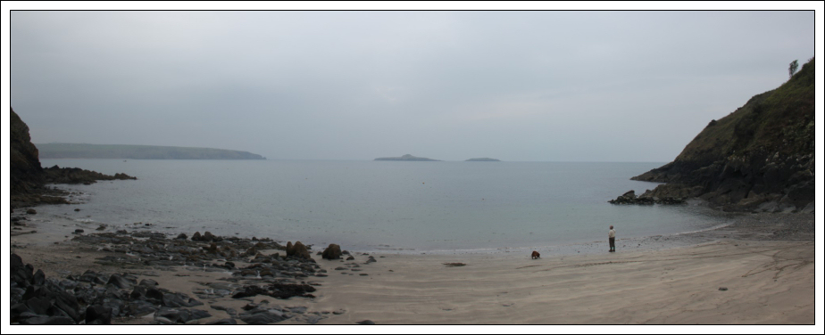 Walk Report - Mynydd Enlli (Bardsey Island) • Walkhighlands