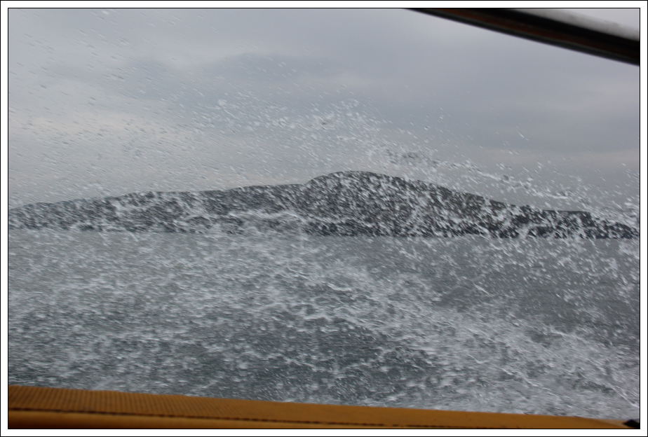 Walk Report - Mynydd Enlli (Bardsey Island) • Walkhighlands