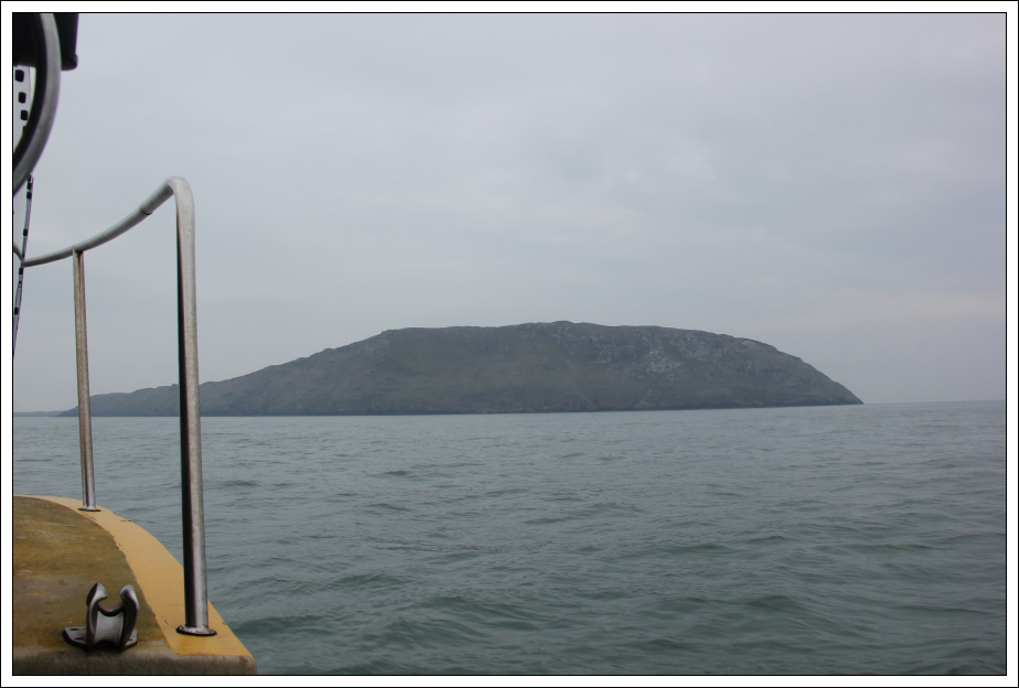 Walk Report - Mynydd Enlli (Bardsey Island) • Walkhighlands