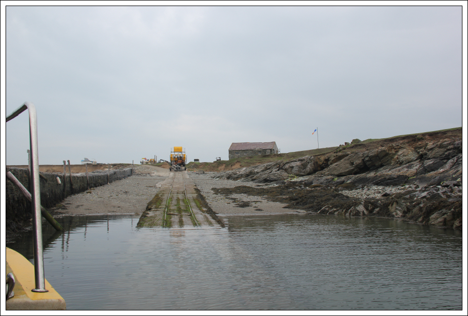 Walk Report - Mynydd Enlli (Bardsey Island) • Walkhighlands