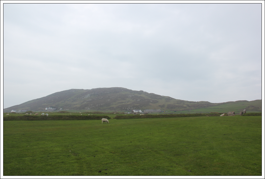 Walk Report - Mynydd Enlli (Bardsey Island) • Walkhighlands