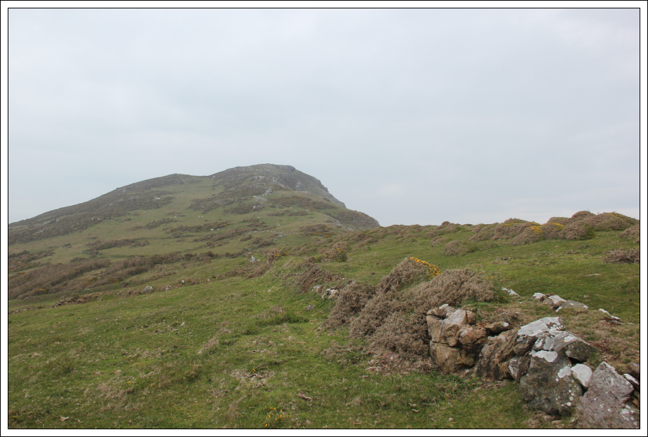 Walk Report - Mynydd Enlli (Bardsey Island) • Walkhighlands