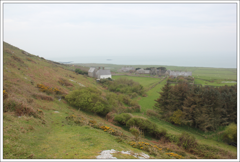 Walk Report - Mynydd Enlli (Bardsey Island) • Walkhighlands